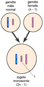 Biologie - PTA