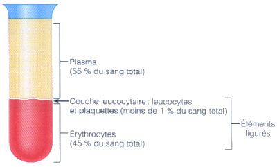 Biologie - PTA